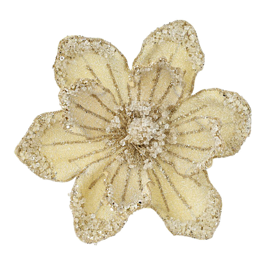 Magnolia Head Gold – Flower Studio